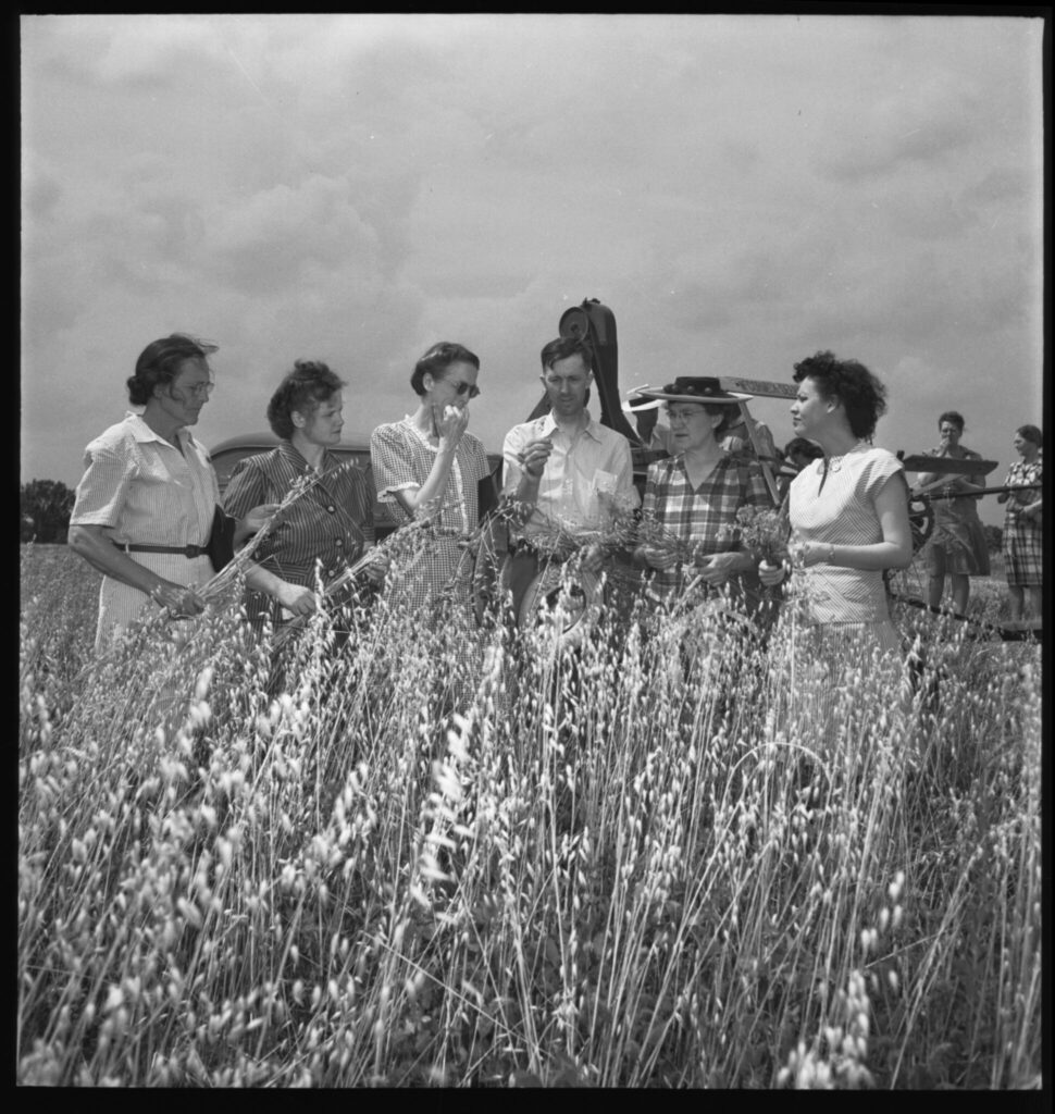 Power to the People: A History of TVA as an Economic Development ...