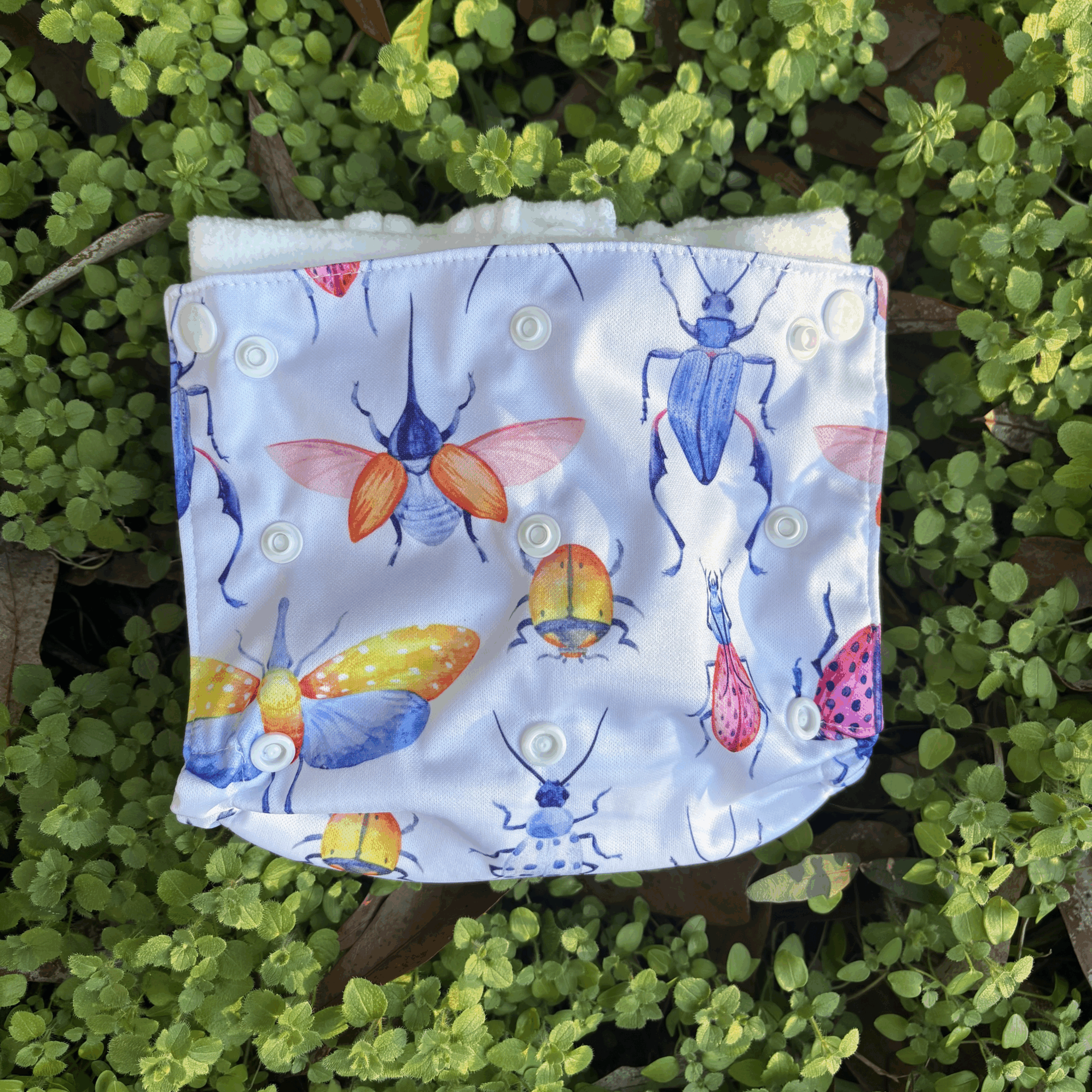Flappy Nappies, a New Way of Potty-Training and INCubator’s Huge Help ...